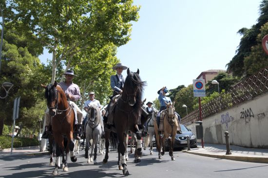 caballos | MiCiudadReal.es | Diario Digital Ciudadano de la provincia ...
