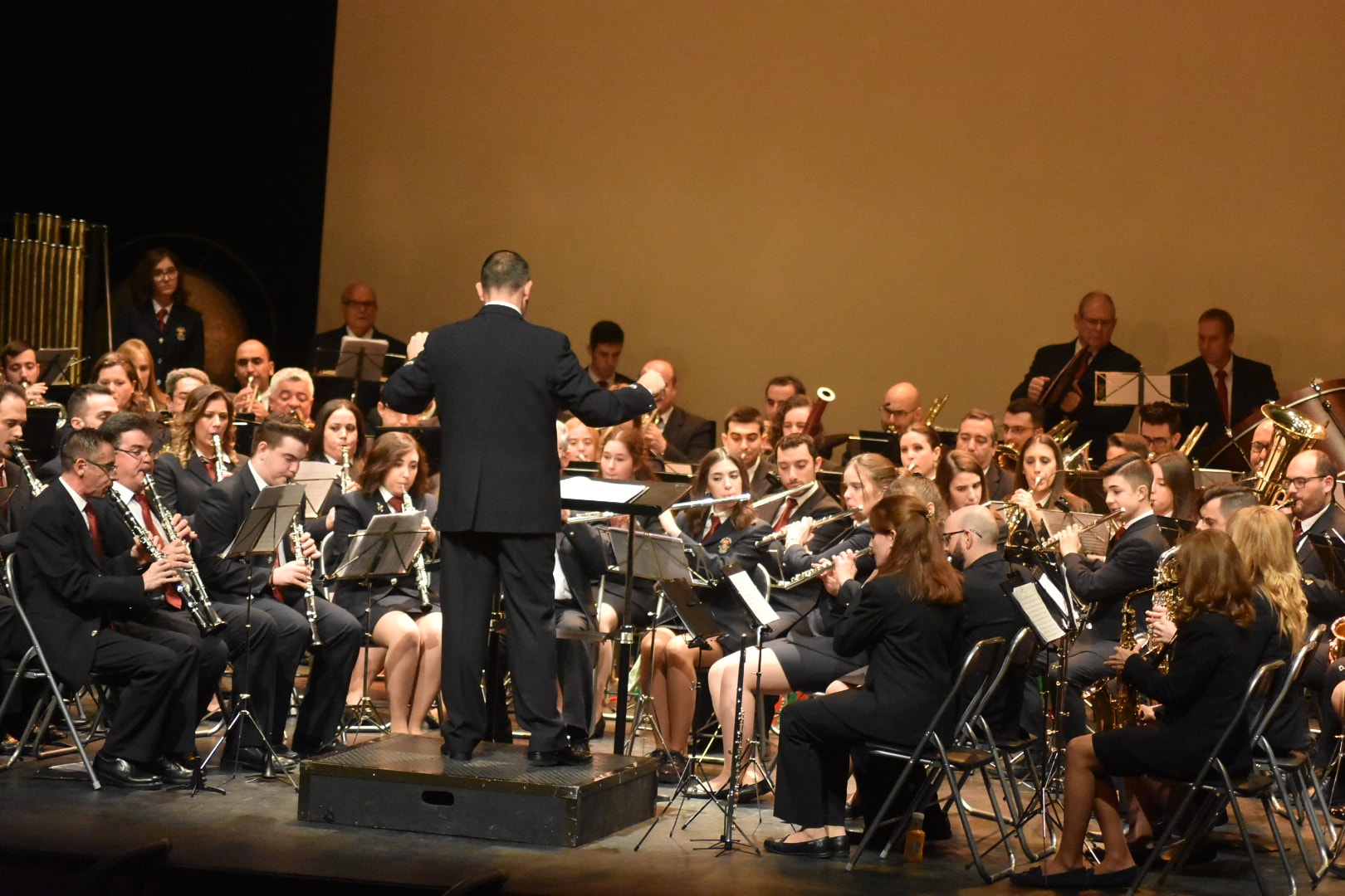 La Agrupación Musical De Ciudad Real Ofrece El Concierto De Santa Cecilia Miciudadreales