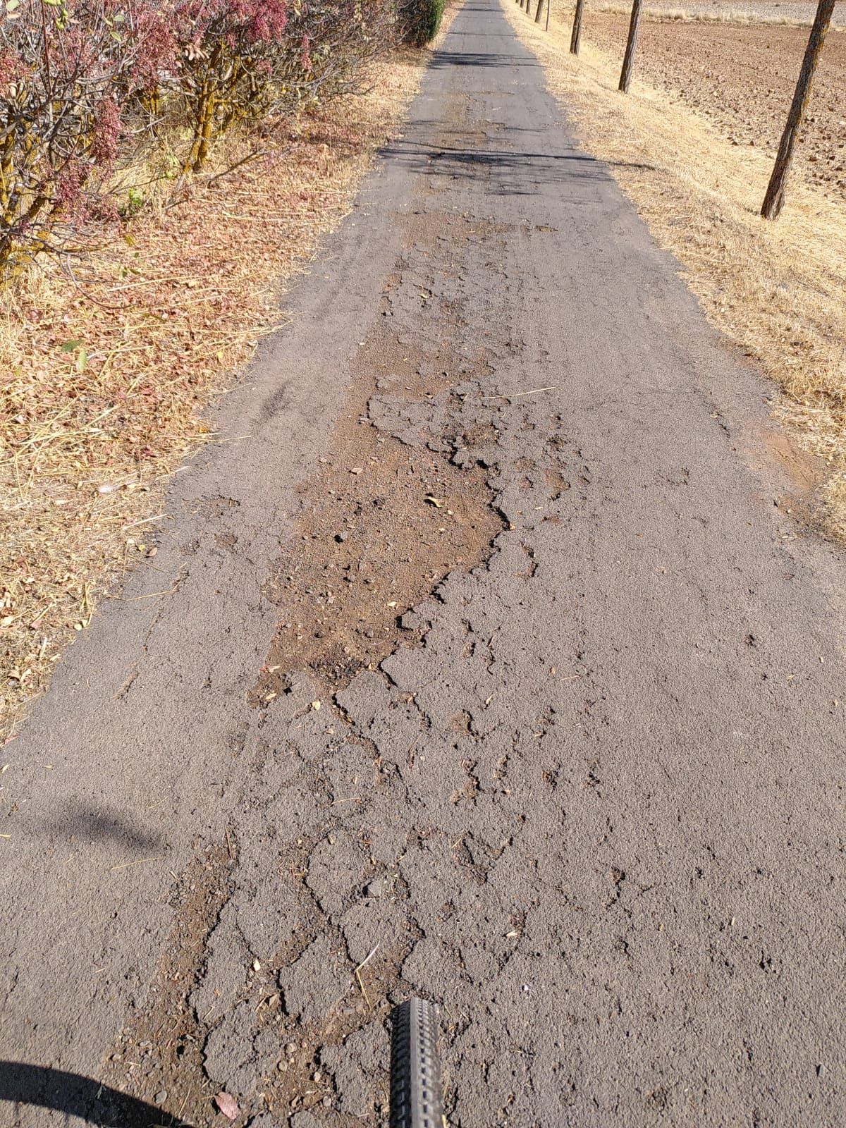 Apedal valora el desarrollo de la jornada de la Semana Europea de la ...