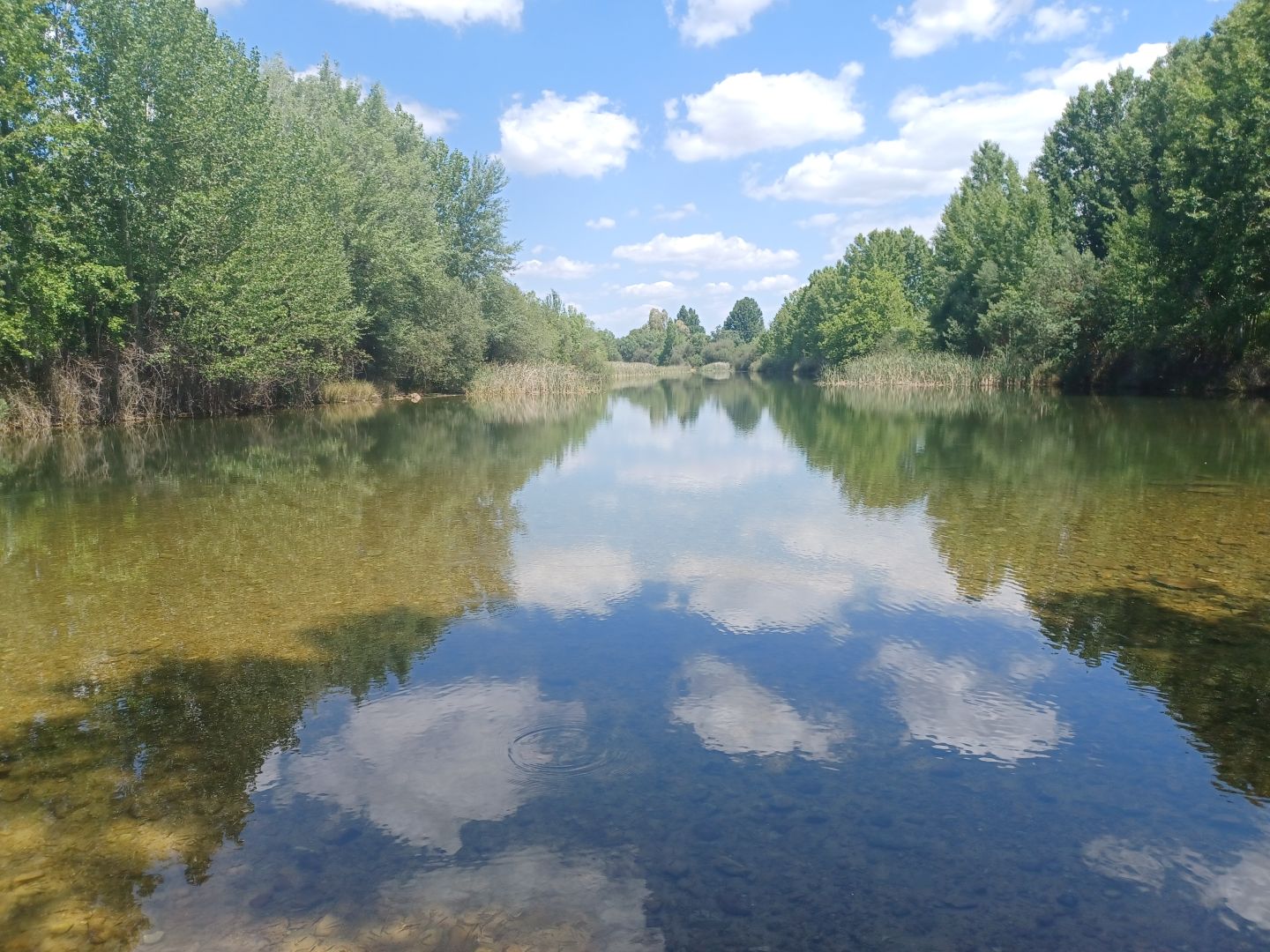 Se inician los trabajos de restauración fluvial del río Bullaque ...